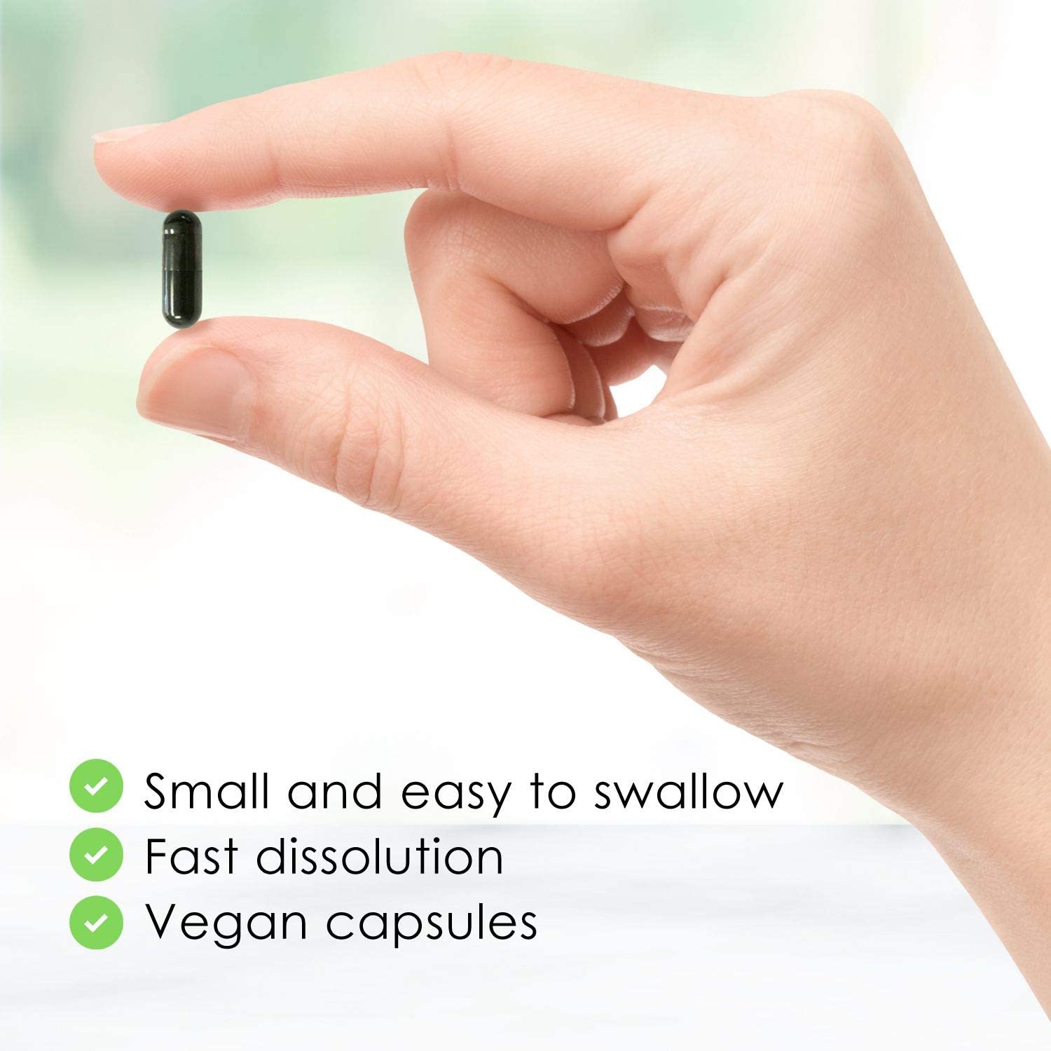 Land Art Chlorophyll Capsules - 90 Capsules – Vibrant Natural Market